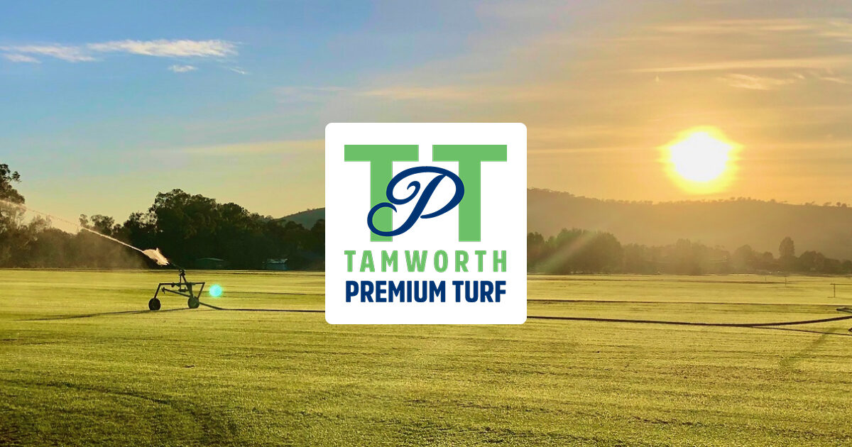 Tamworth Premium Turf